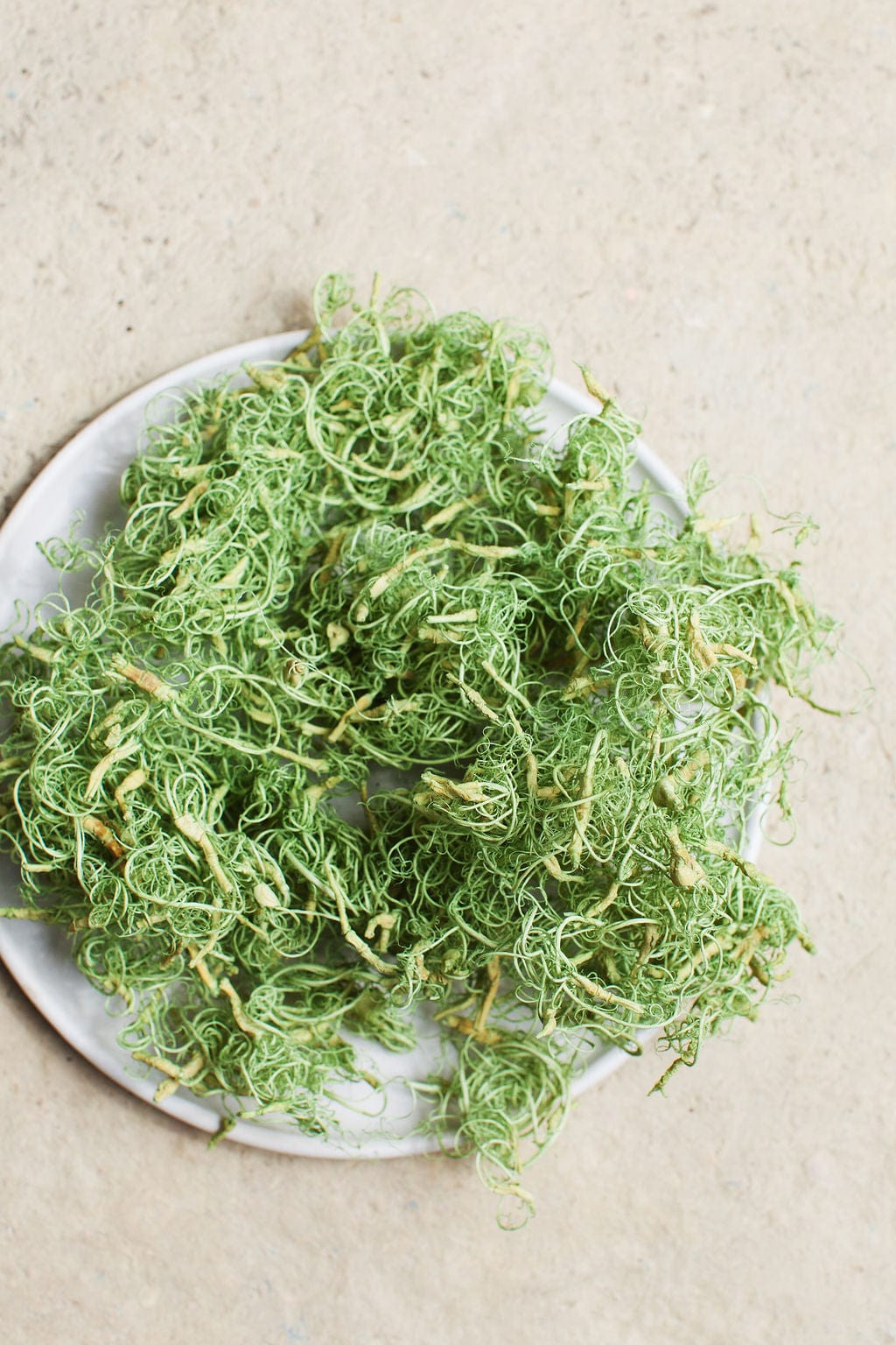 Green Curly Moss – Idlewild Floral Co.