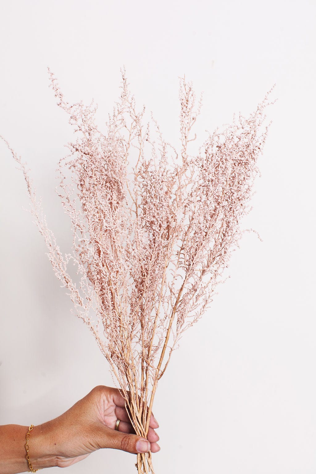 Mauve Preserved Stoebe – Idlewild Floral Co.