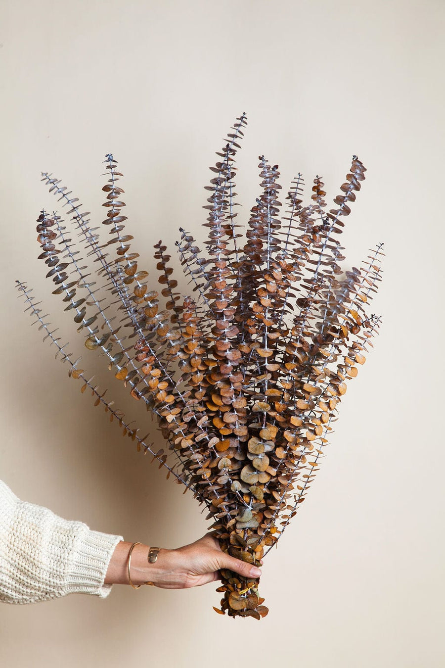 Preserved Frosted Copper Spiral Eucalyptus – Idlewild Floral Co.