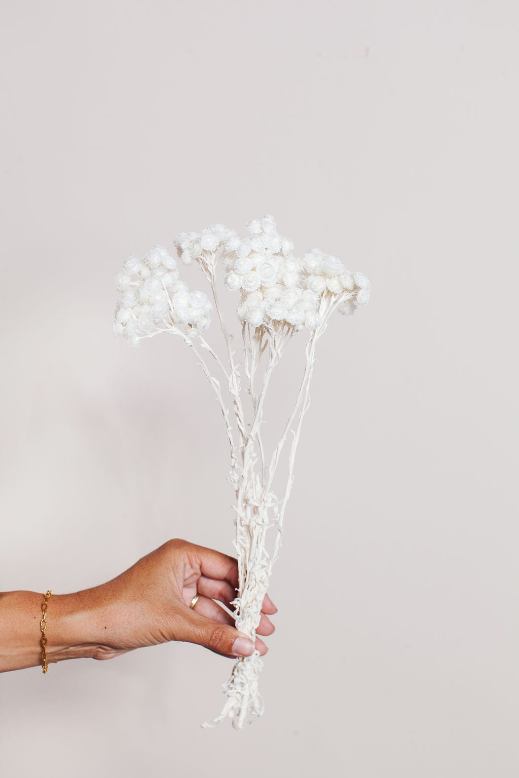 White Dried and Preserved Flowers Idlewild Floral Co