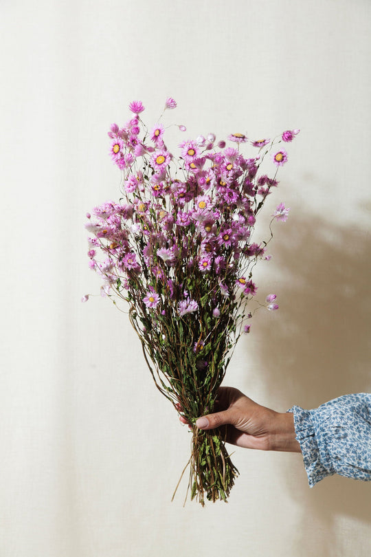 Dried Flower Bunches – Page 3 – Idlewild Floral Co.